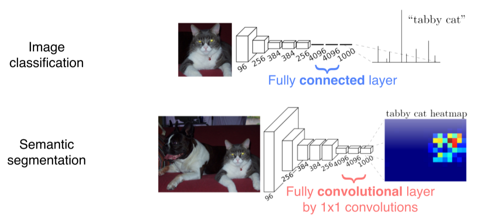 Semantic Segmentation