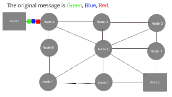 패킷 교환과 회선교환