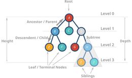 Map TreeMap