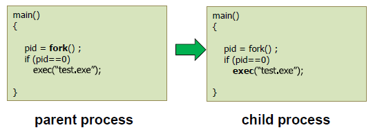 fork, wait, exit, exec