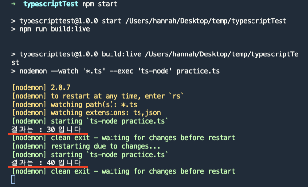 [TypeScript] nodemon, ts-node 모듈 설치하기