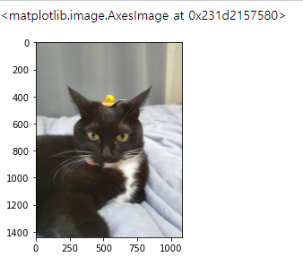 OpenCV (Open Source Computer Vision Library)