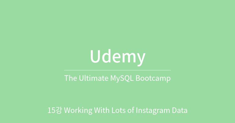 [Udemy] Working With Lots of Instagram Data