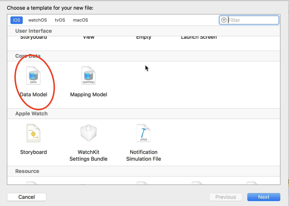 iOS & Swift 공부 - CoreData -> Configure & Setup Core Data