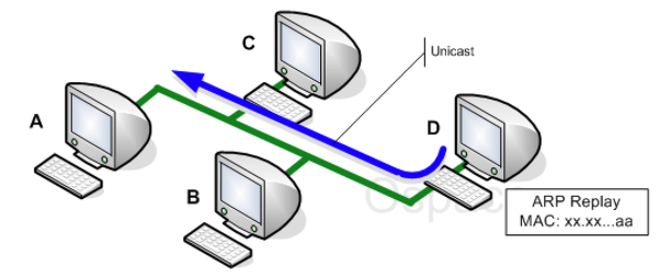 [네트워크] ARP / GARP / RARP