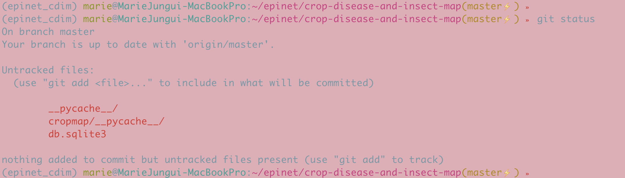 django migrate하면 생성되는 __pycache도 git push 대상일까?