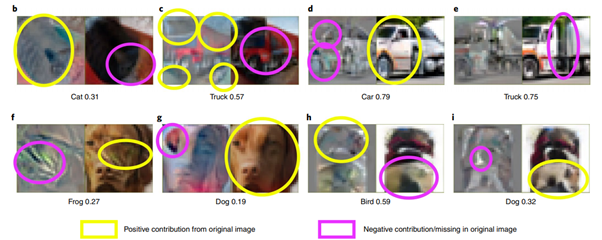 [논문리뷰] Adversarial explanations for understanding image classification ...