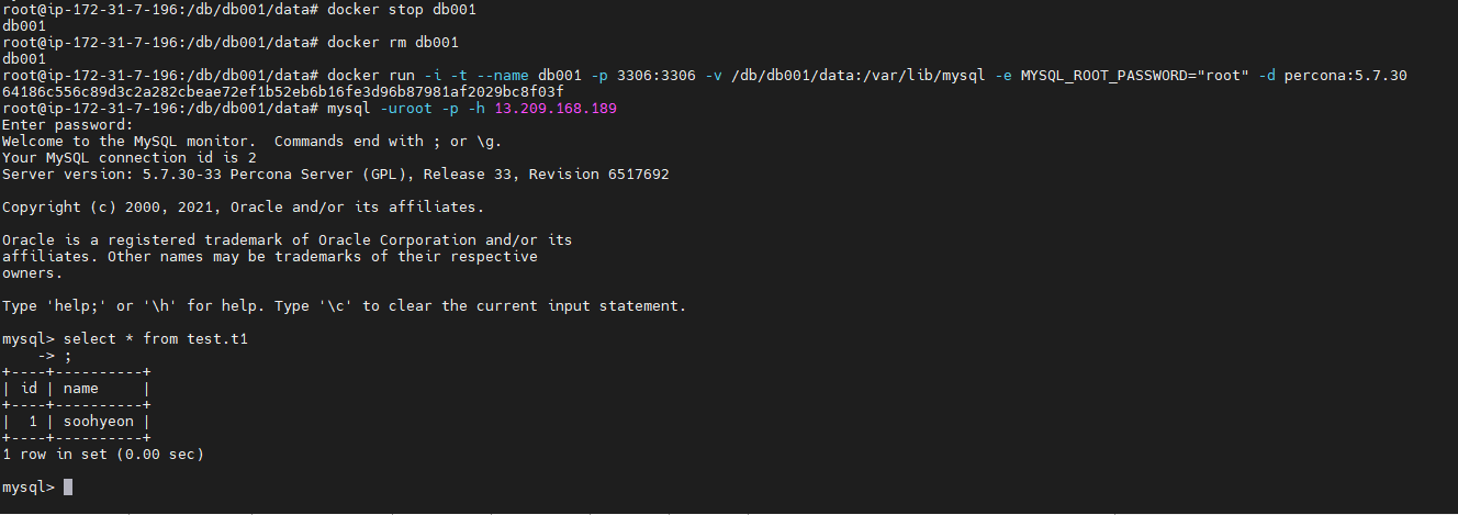 Docker를 이용한 Db Replication 외부 접속 및 데이터저장