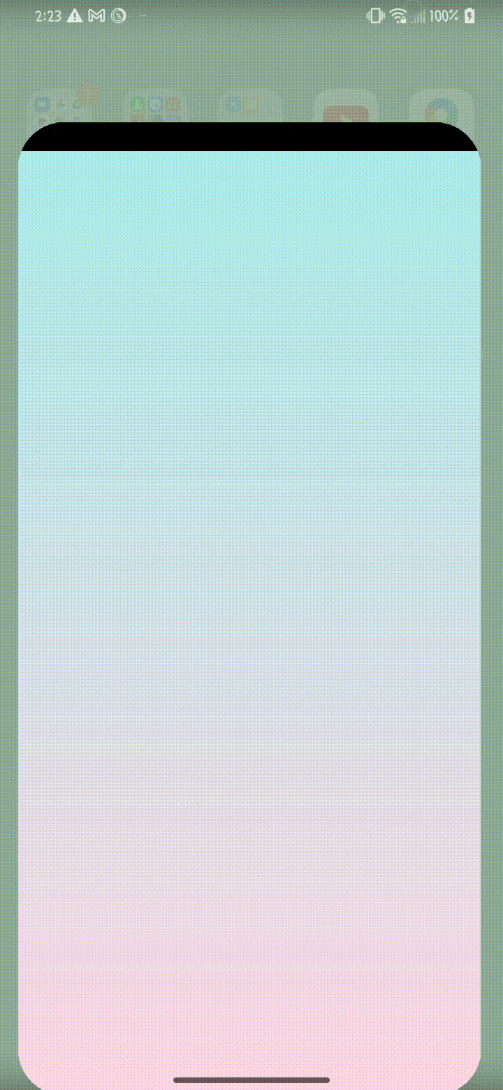 [FLUTTER][Project] Splash Screen