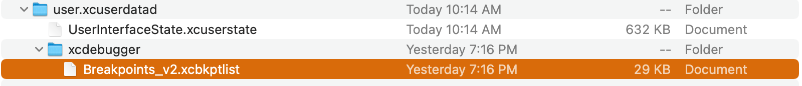 Xcode Project Structure